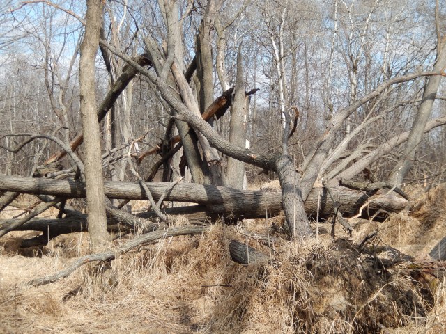 How to Manage Your Personal Prayer Time | Prayer A to Z