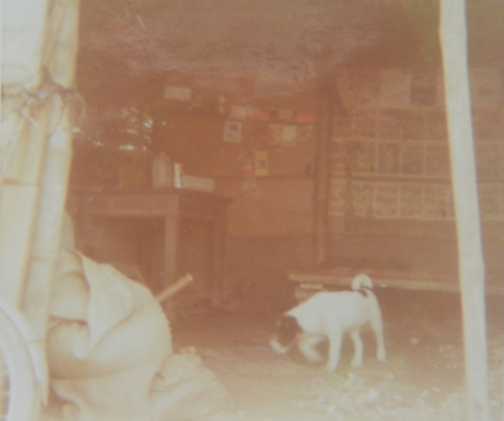 Vietnam: Transferred to A Village Platoon | Prayer A to Z