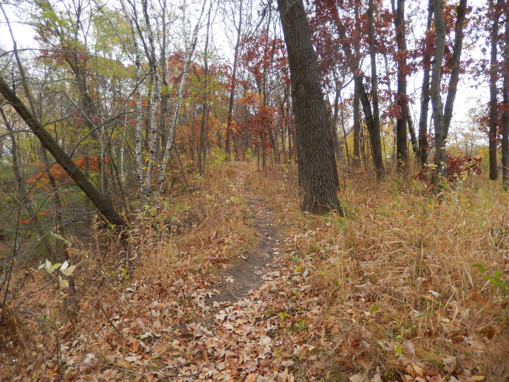 My Autumn Adventure | Prayer A to Z